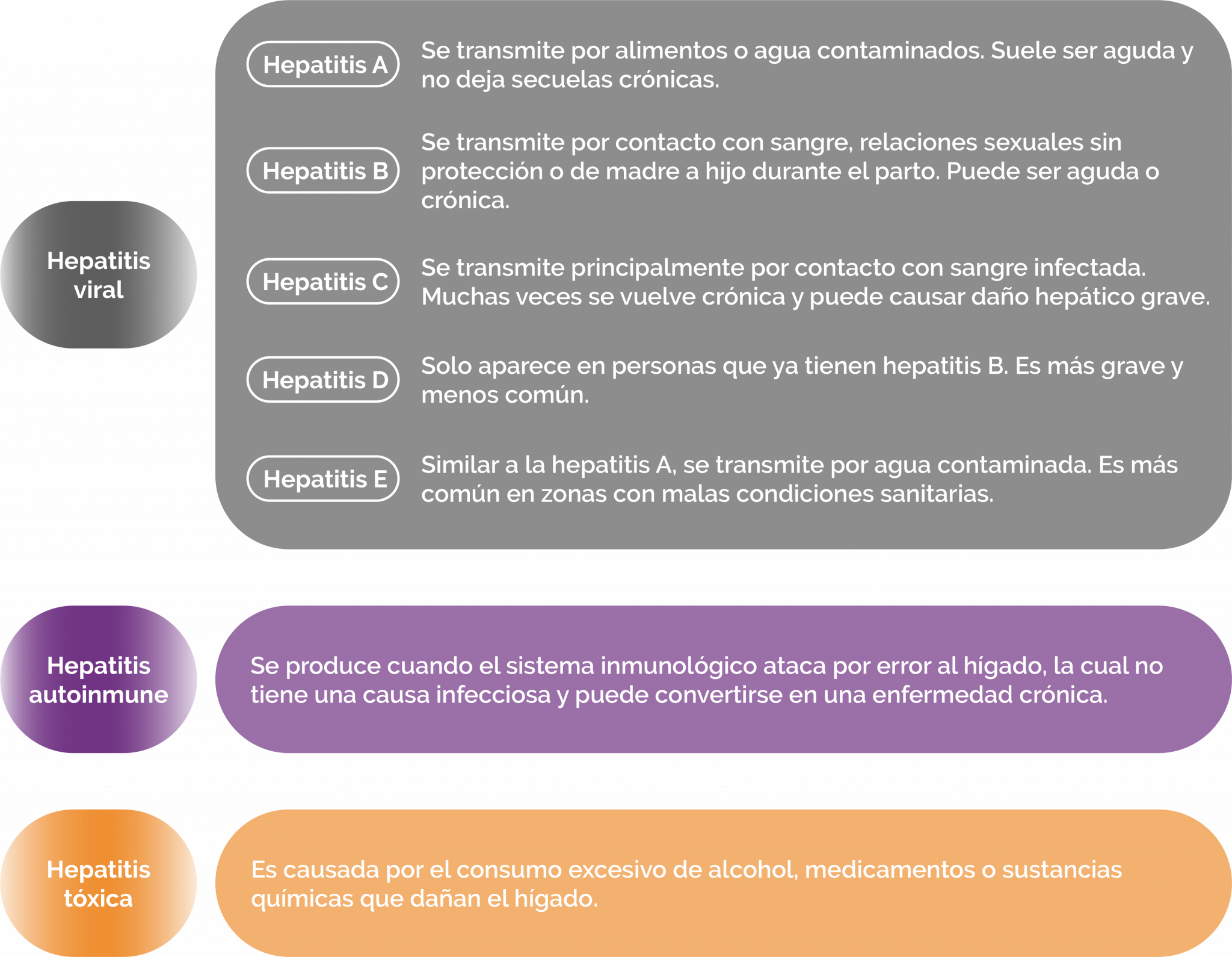 ¡Hepatitis: la enfermedad silenciosa que puede afectar tu hígado ...